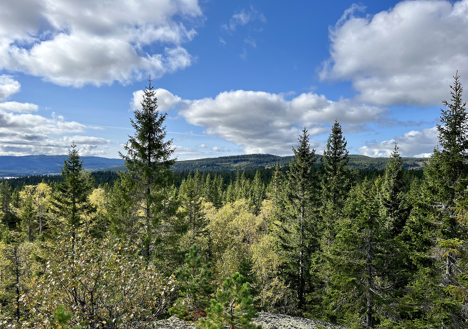Exploring Kjerkeberget: Oslo Highest Peak 631 moh | Mountain & Hiking ...